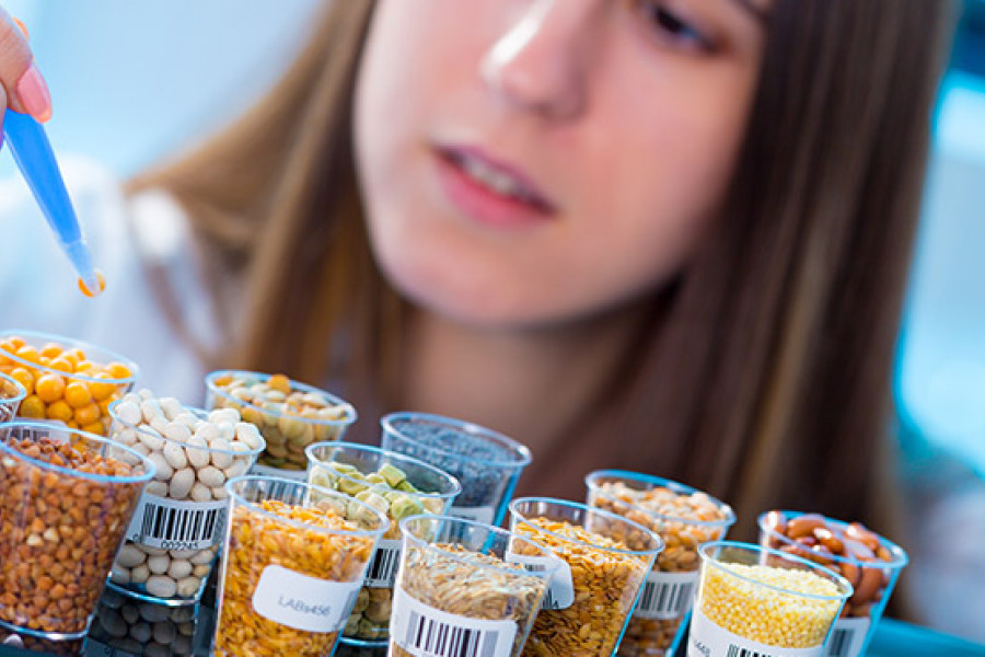 Flavor Systems and Dietary Supplements