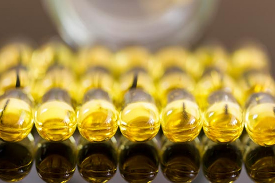 Manufacturing for Bodybuilders: Private Label Fish Oil