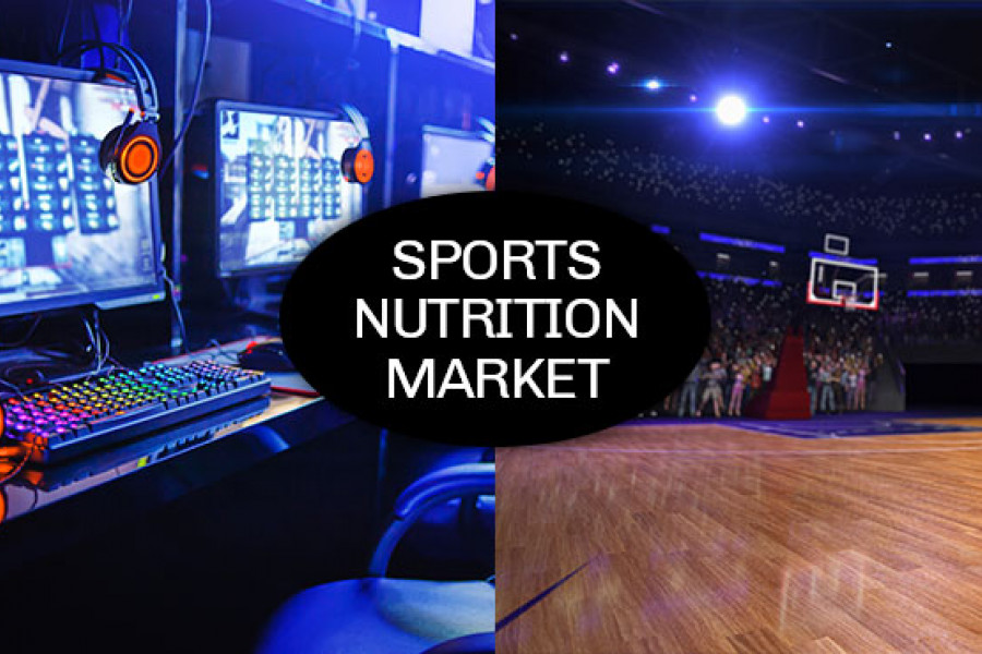 Sports Nutrition Supplement Market Insights