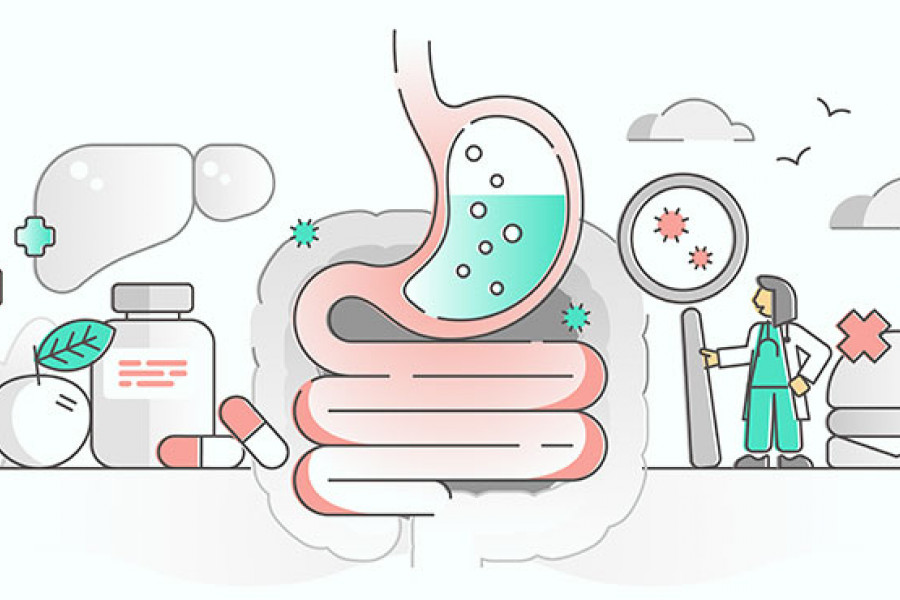 Manufacturing Advice for the Digestive-Immune Health Market