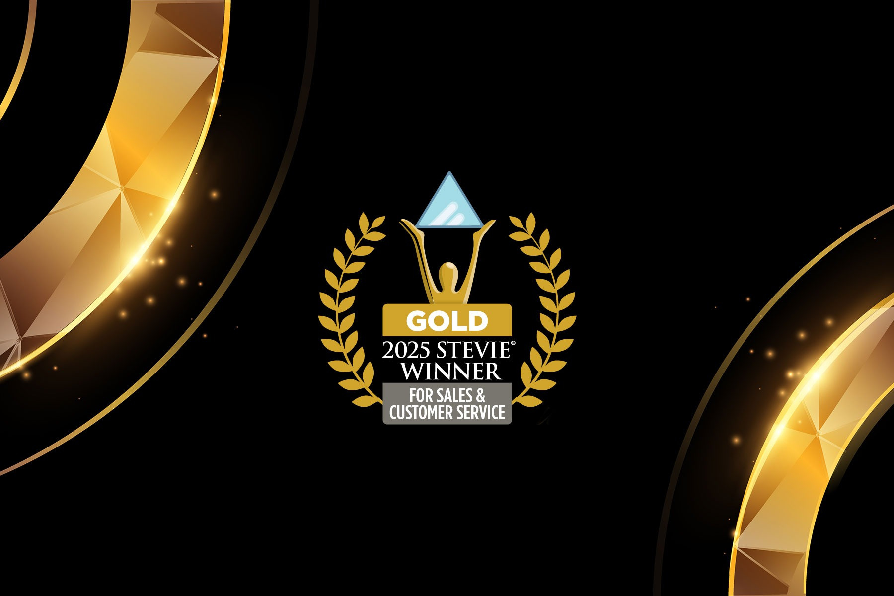 Stephen Finnegan Wins 2025 Gold Stevie® Sales & Customer Service Award