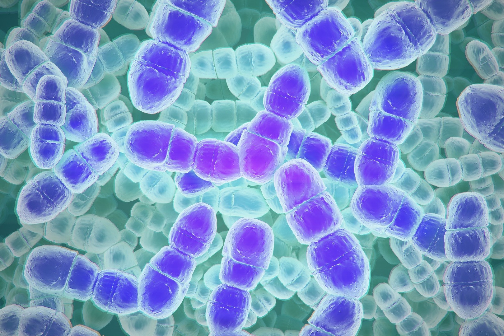 Prebiotic Supplements and Partnering with Makers Nutrition