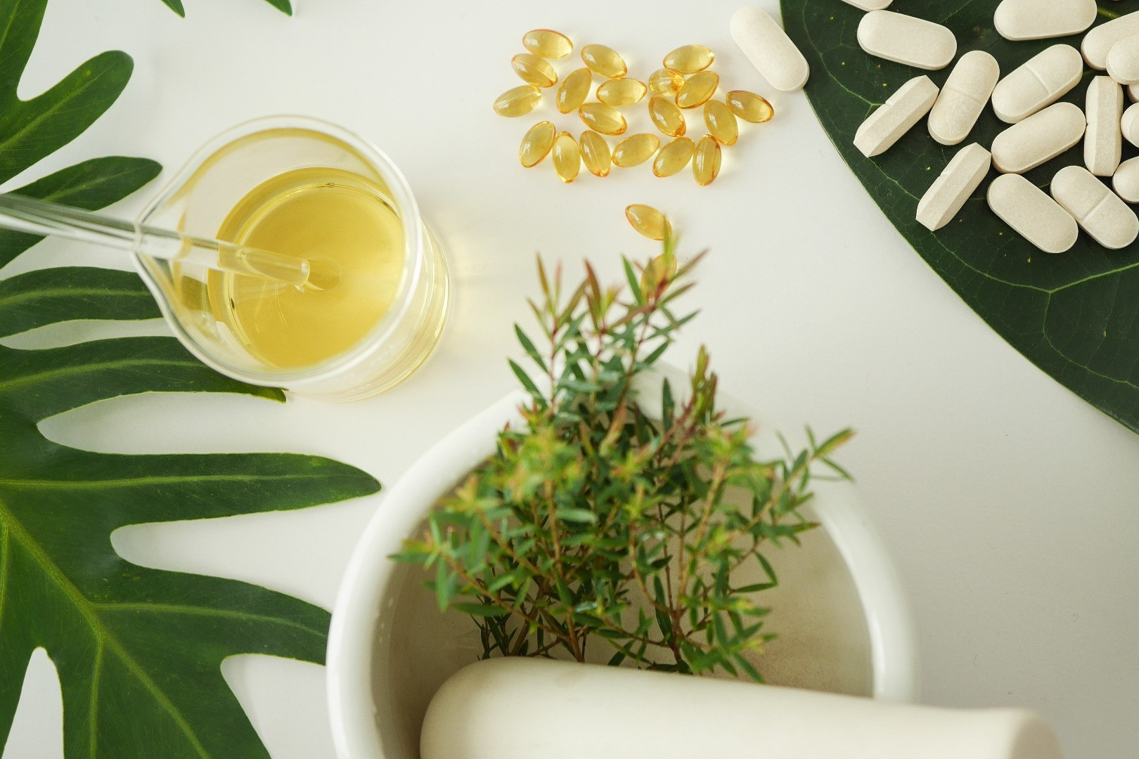 Why You Should Manufacture Botanical Supplements and Vitamins